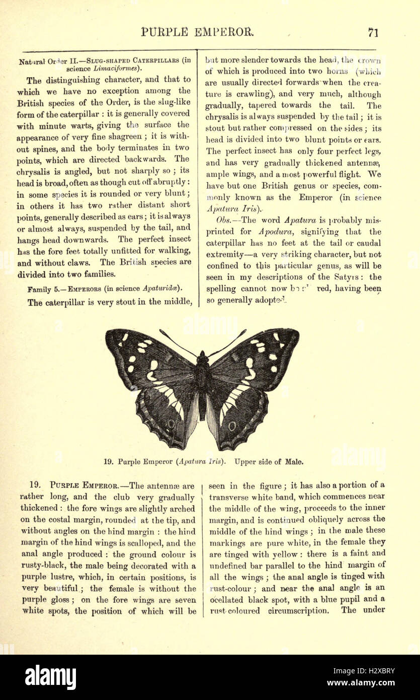 This illustrated guide provides a detailed overview of British ...