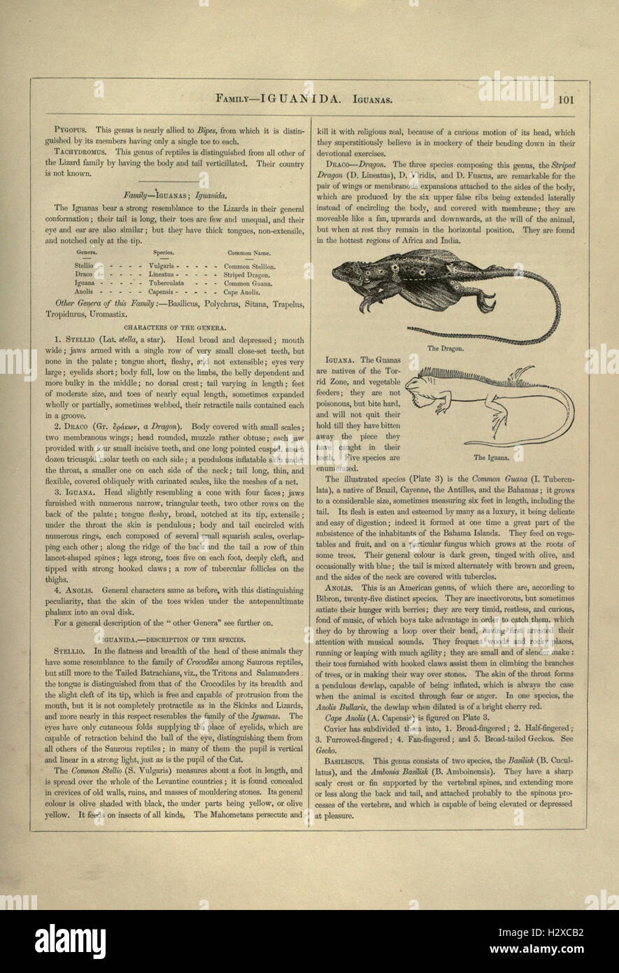This work provides visual representations of various animal species ...