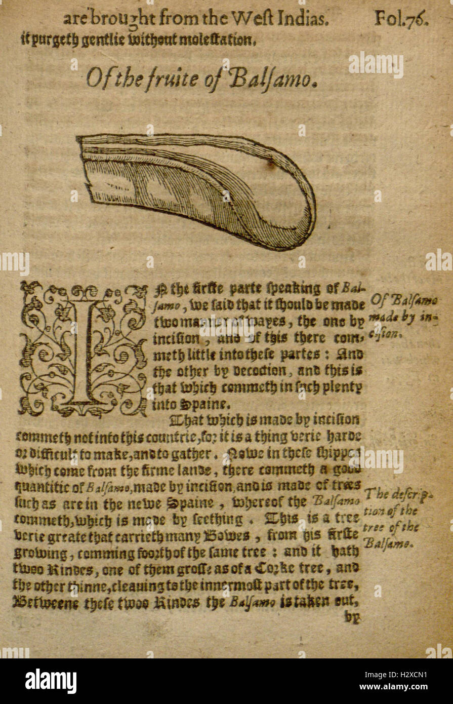 A historical account of the early exploration of the New World ...