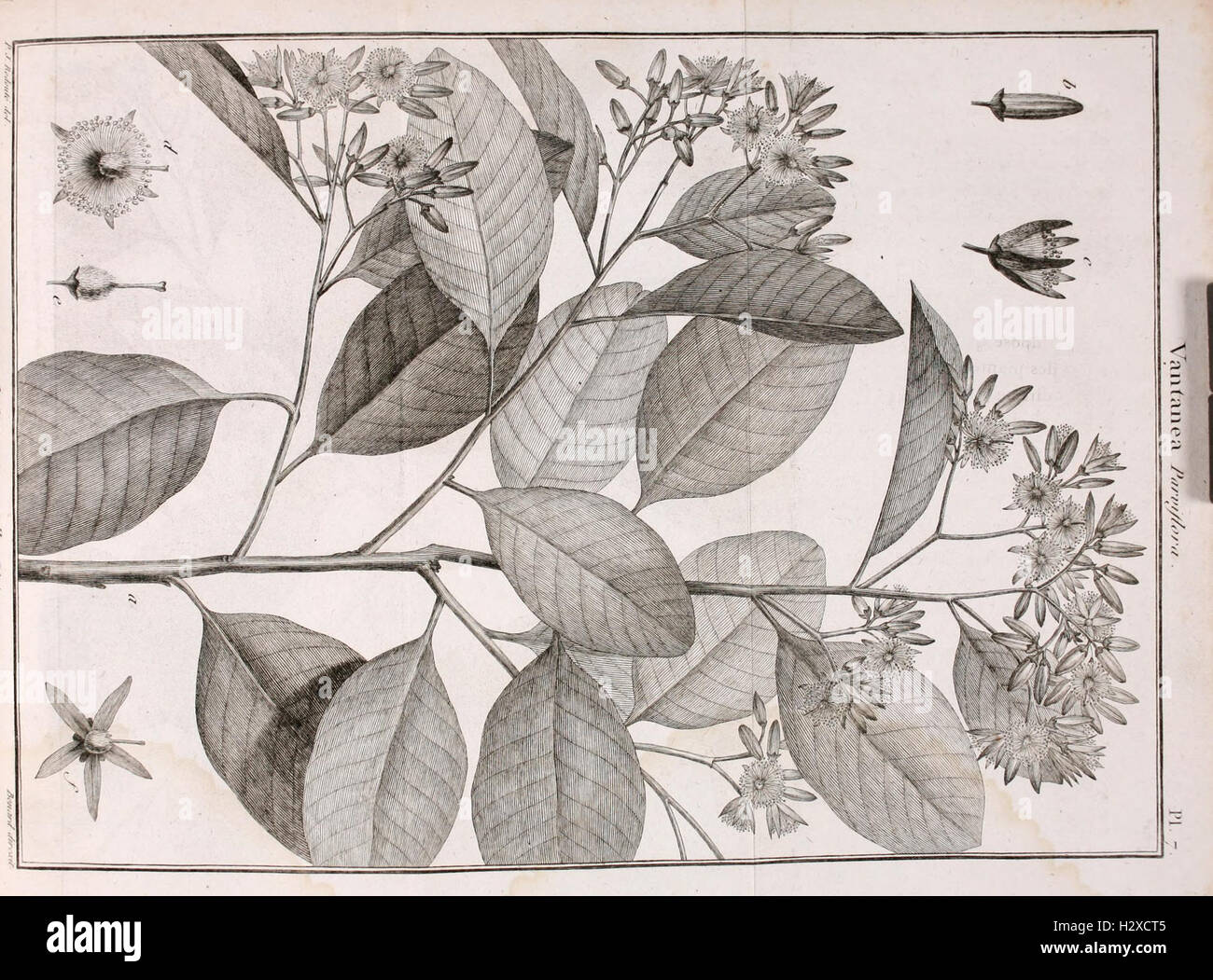 This journal covers various natural history topics, including ...