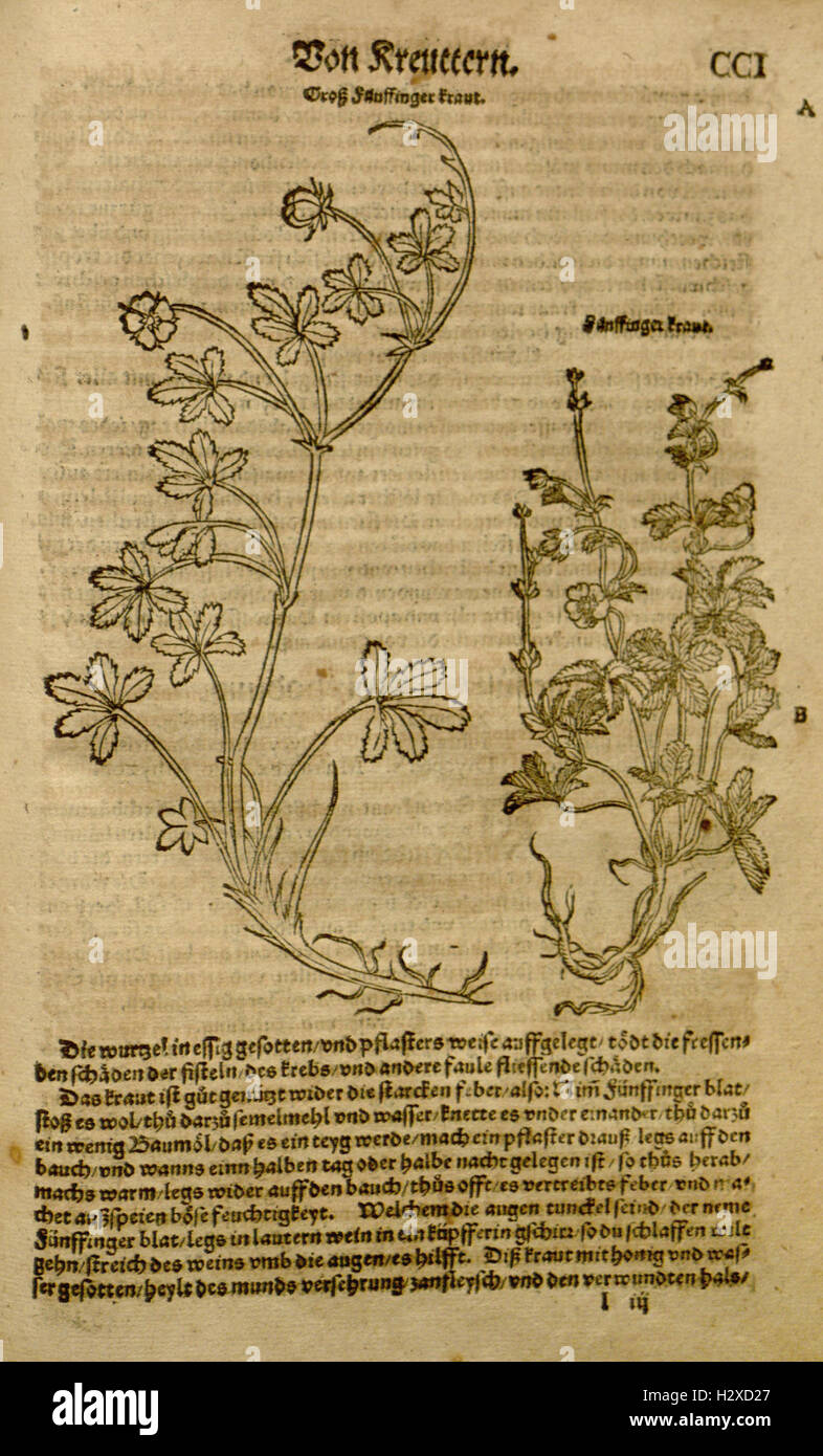 Cci font hi-res stock photography and images - Alamy