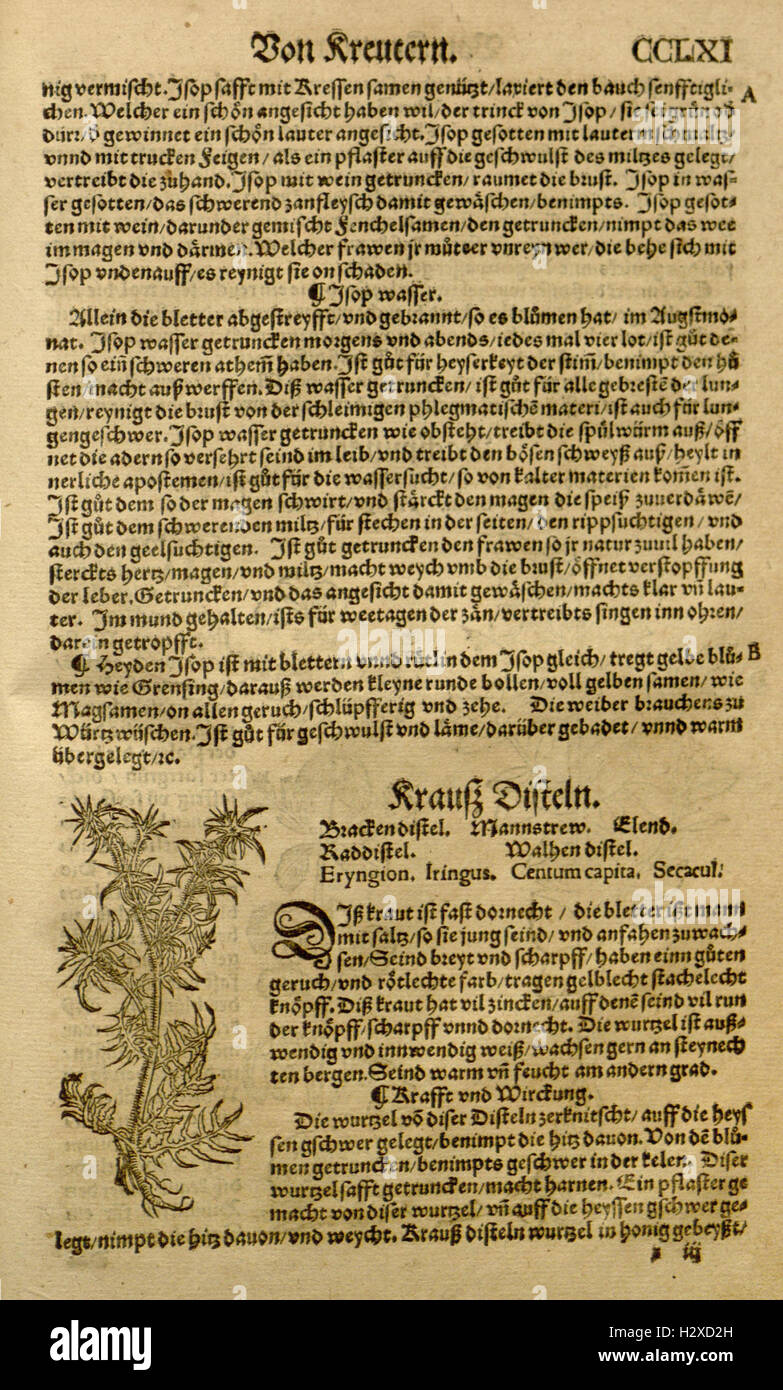 This German herbal book provides detailed information on the medicinal ...