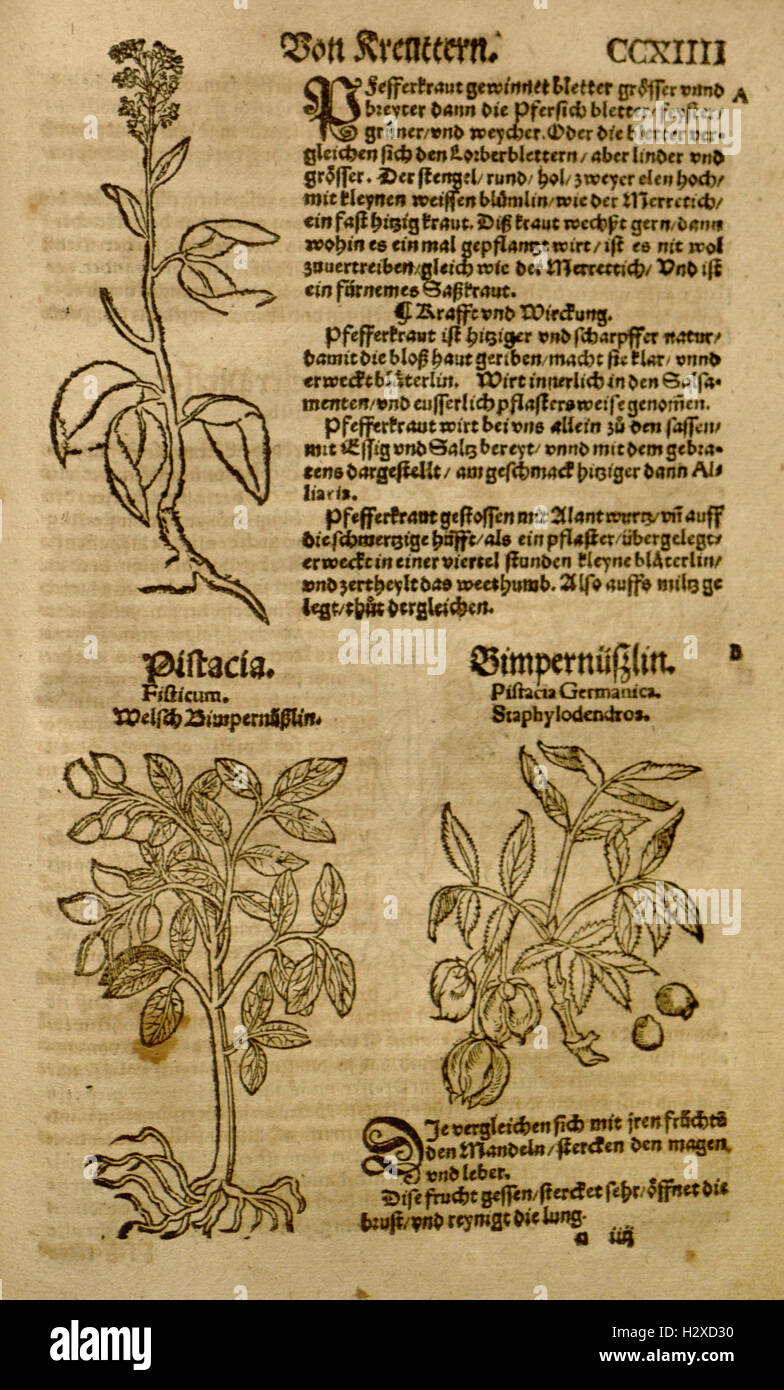 A botanical book detailing the uses and applications of herbs, trees ...