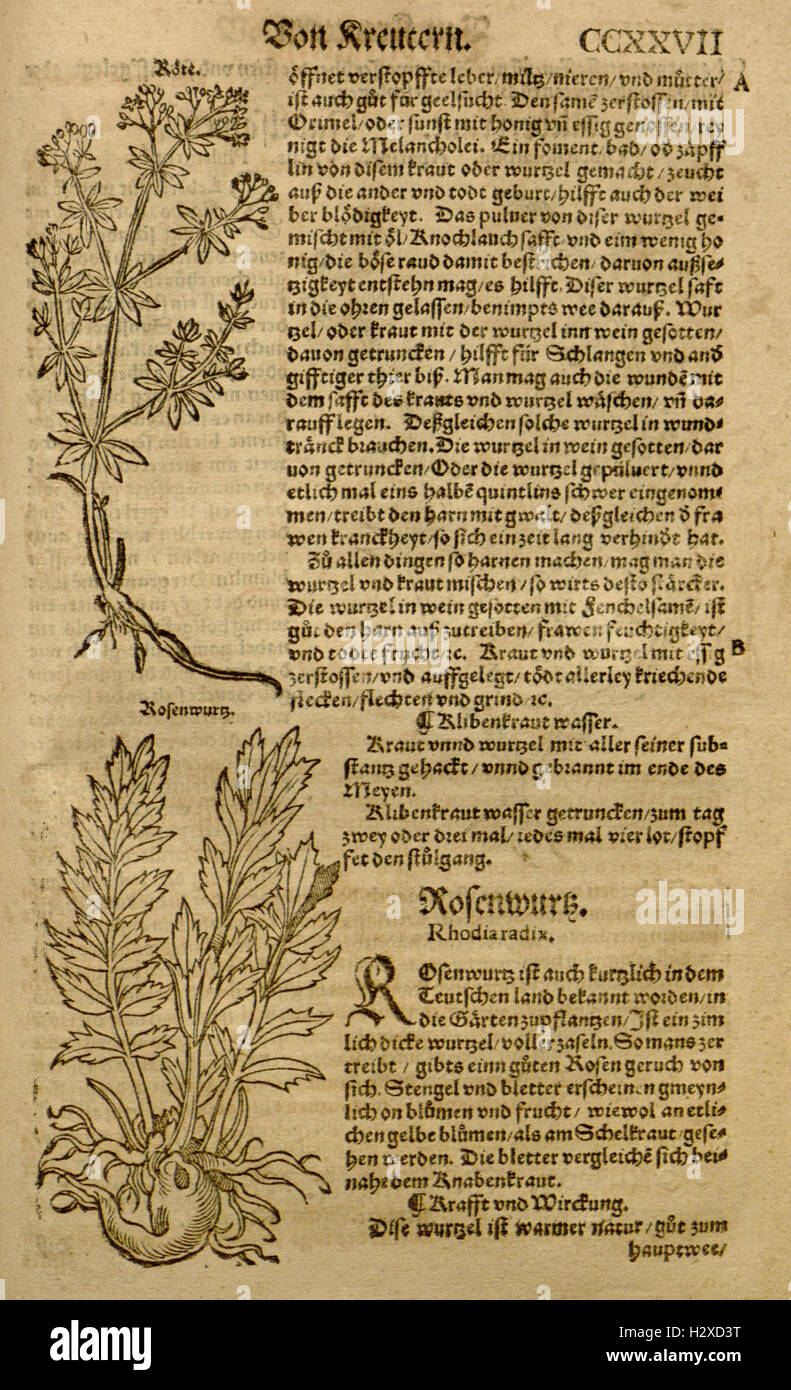 This German herbal book outlines the medicinal uses and benefits of ...