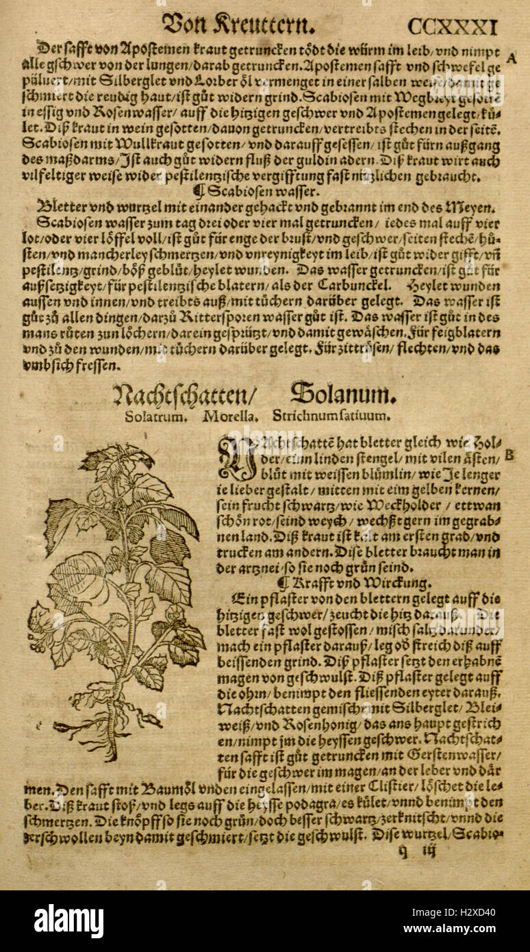 A comprehensive herbal guide detailing the uses of herbs, trees, seeds ...