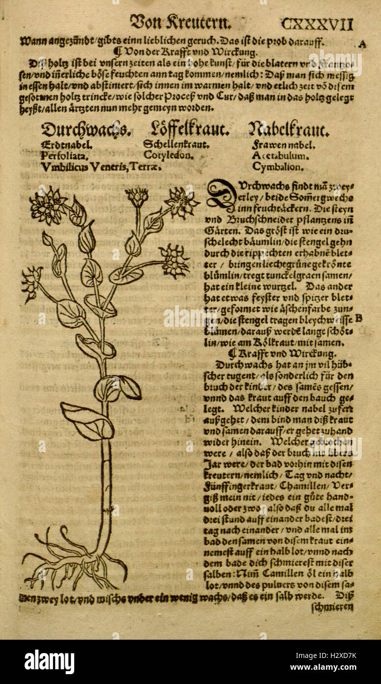This German herbal book outlines the uses and medicinal properties of ...