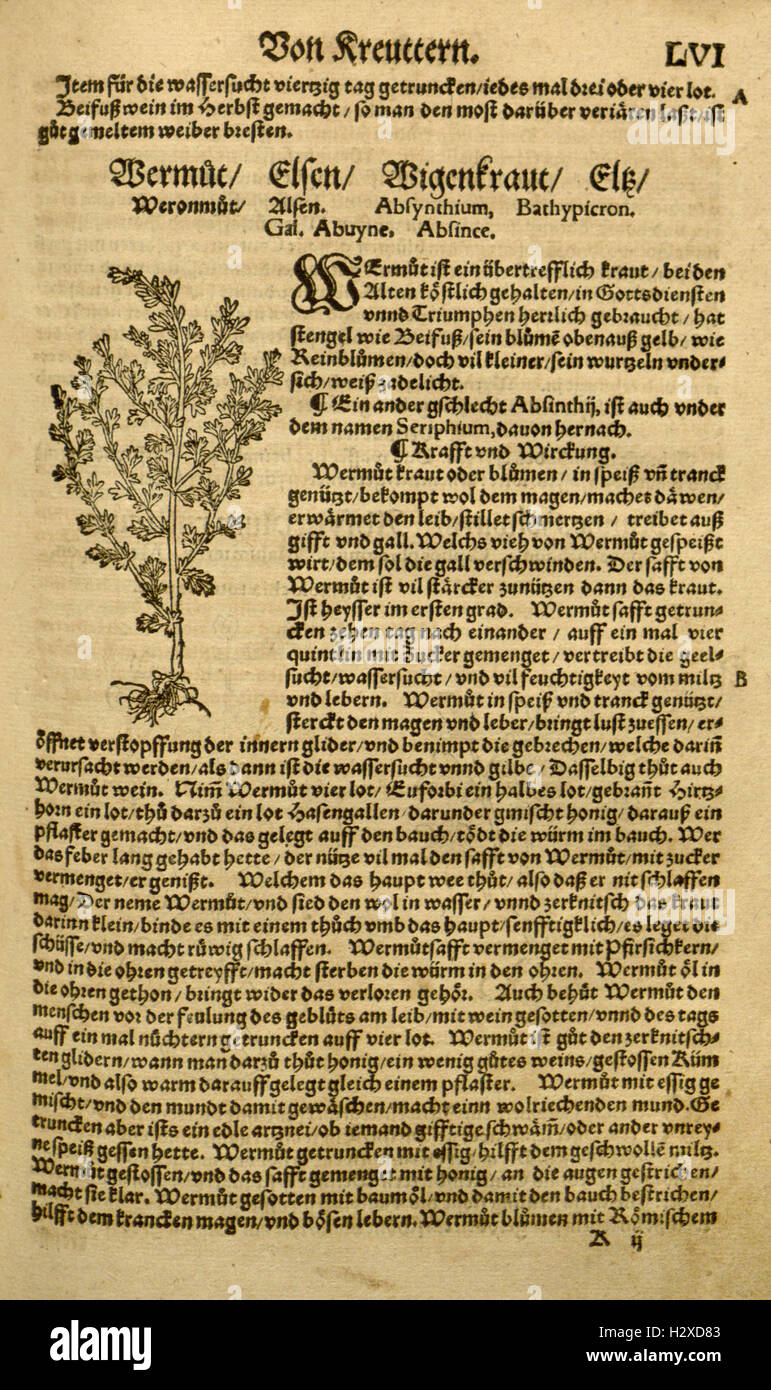 A German herbal book that outlines the natural uses and medicinal ...