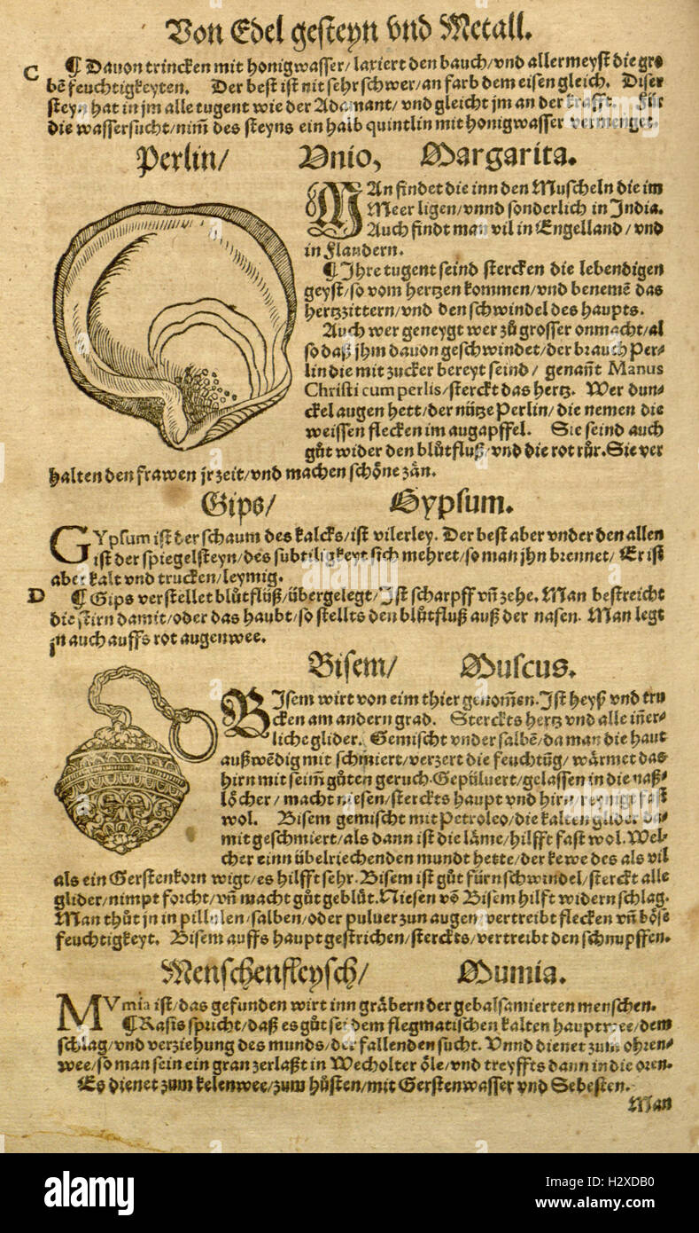 A comprehensive herb book detailing the uses of herbs, trees, shrubs ...