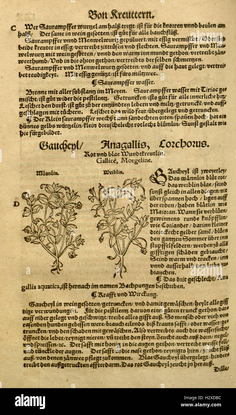 This herbal guide details the natural uses and benefits of various ...