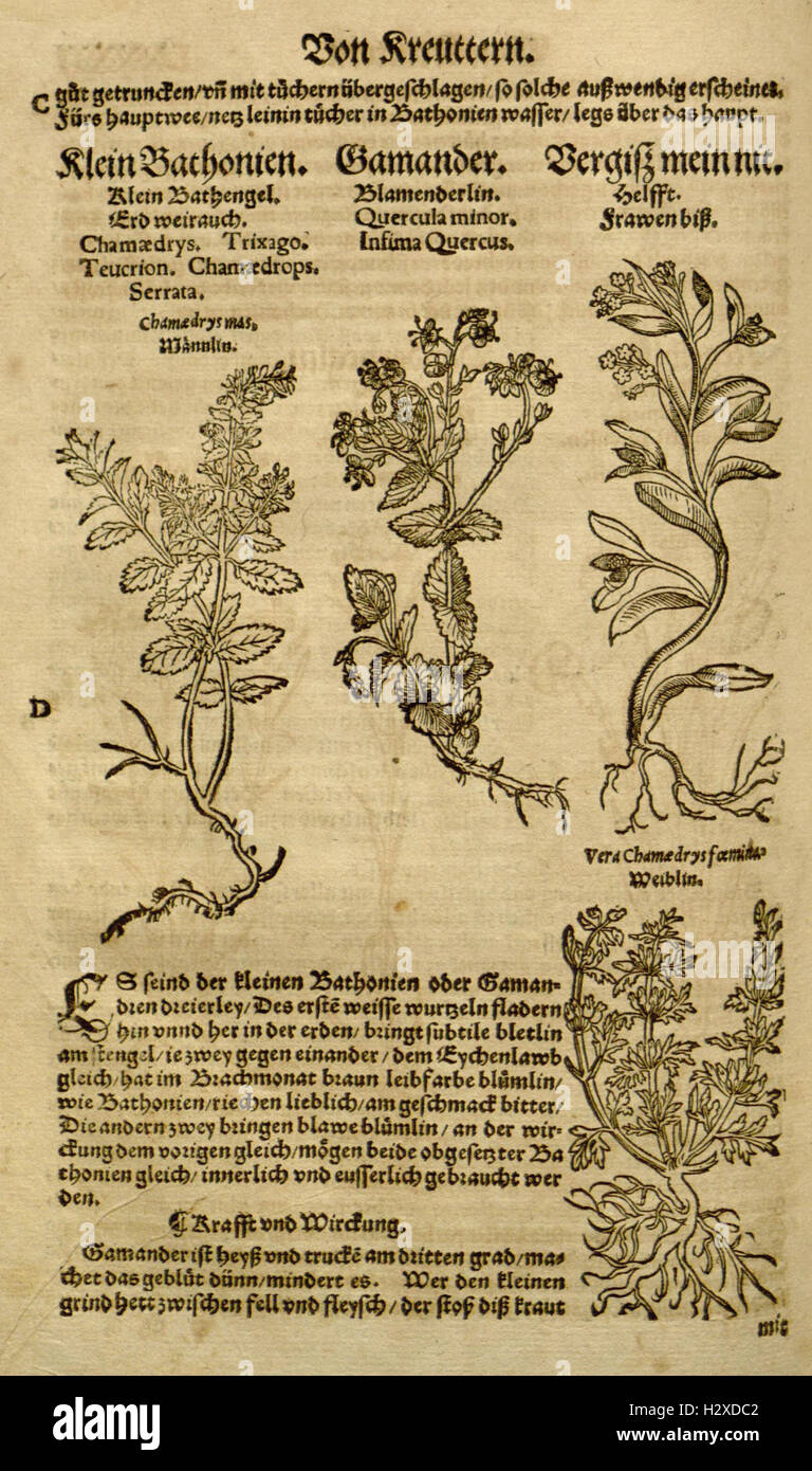 A German herbal book detailing the natural uses and medicinal ...