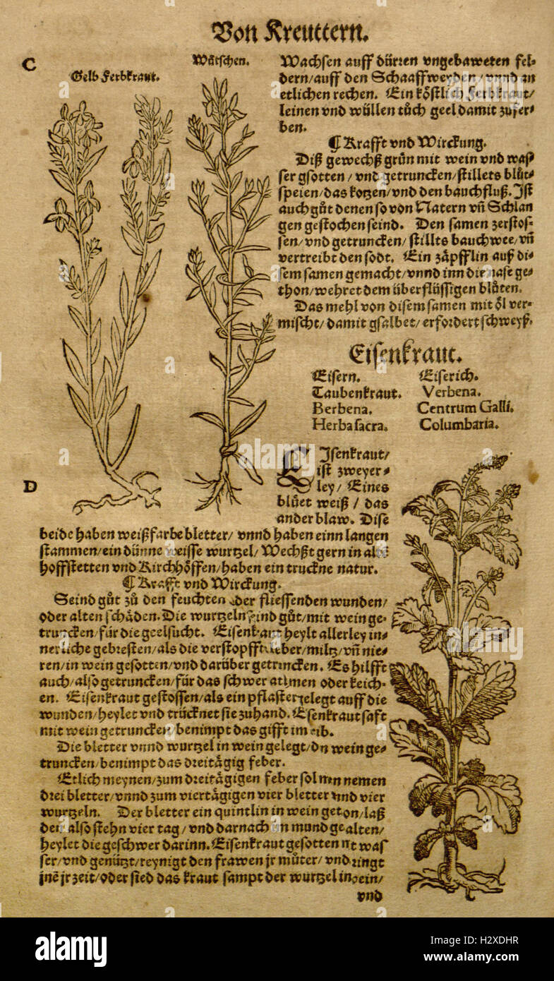 This botanical text discusses the practical use of herbs, trees, seeds ...