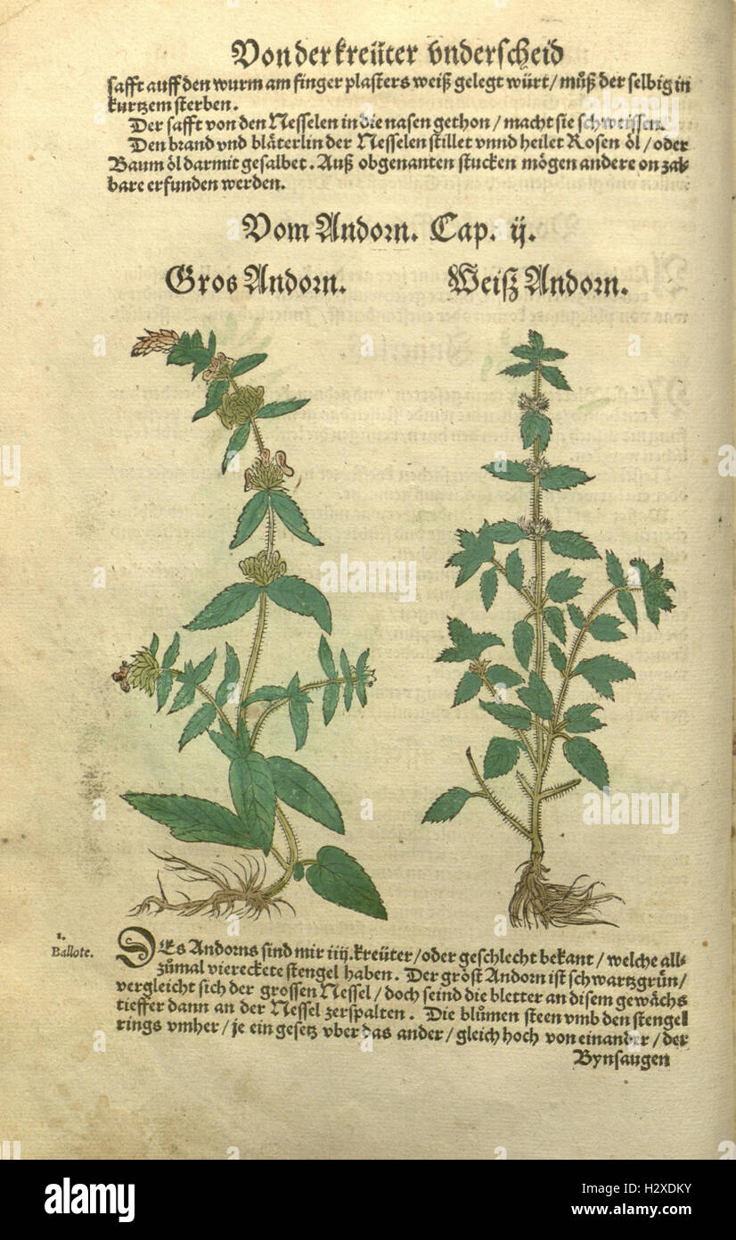 This herbal book explores the identification, effects, and names of ...