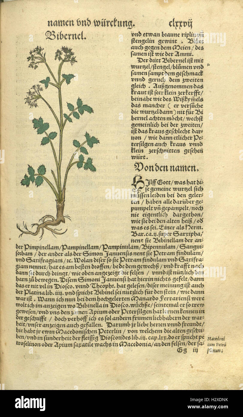 A German botanical text describing the identification, effects, and ...
