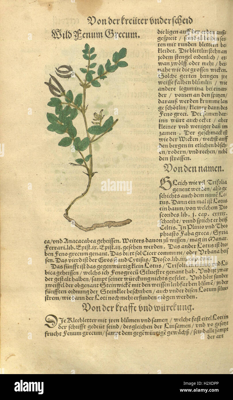 A botanical work detailing the classification, effects, and names of ...