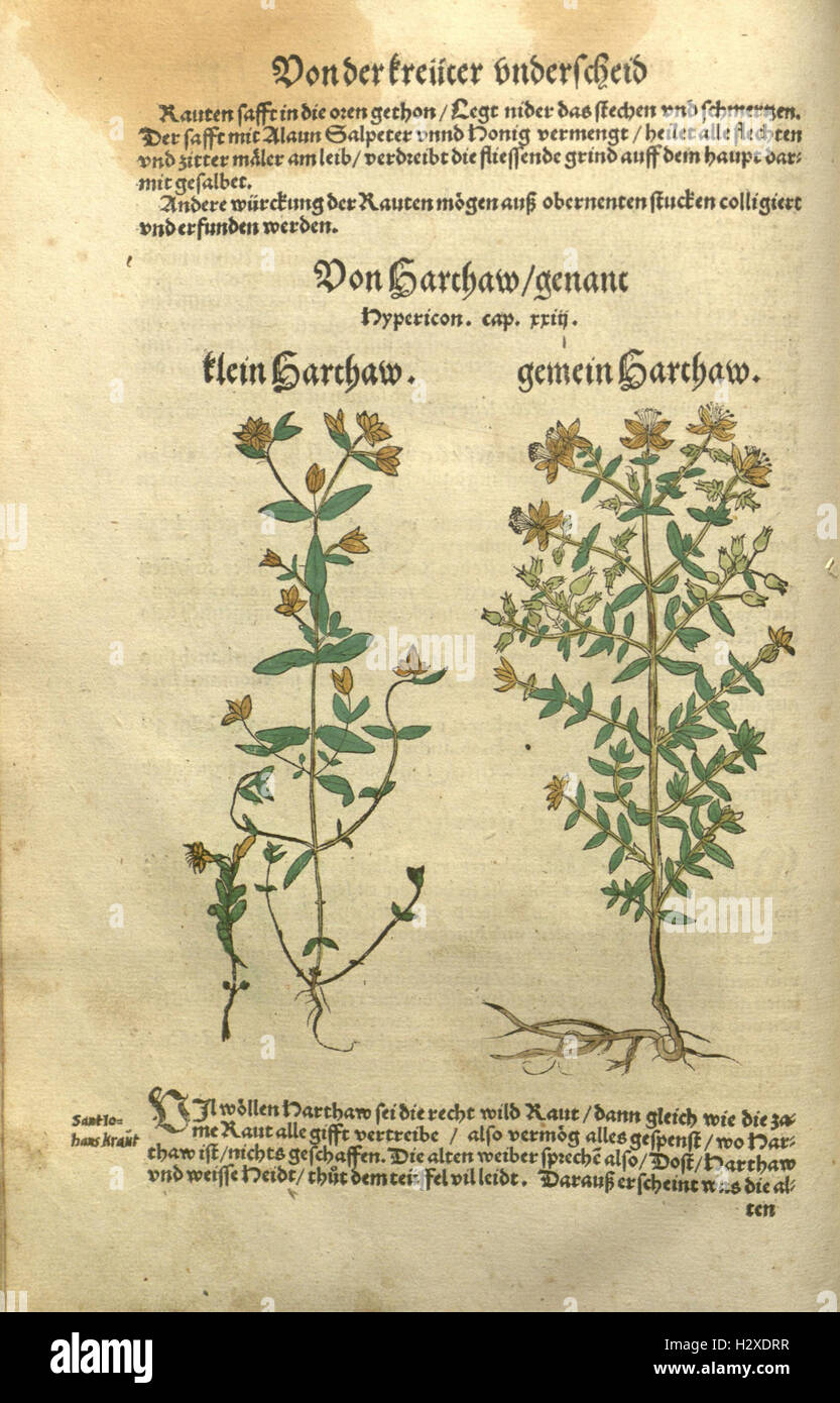 This work focuses on the identification, effects, and names of plants ...