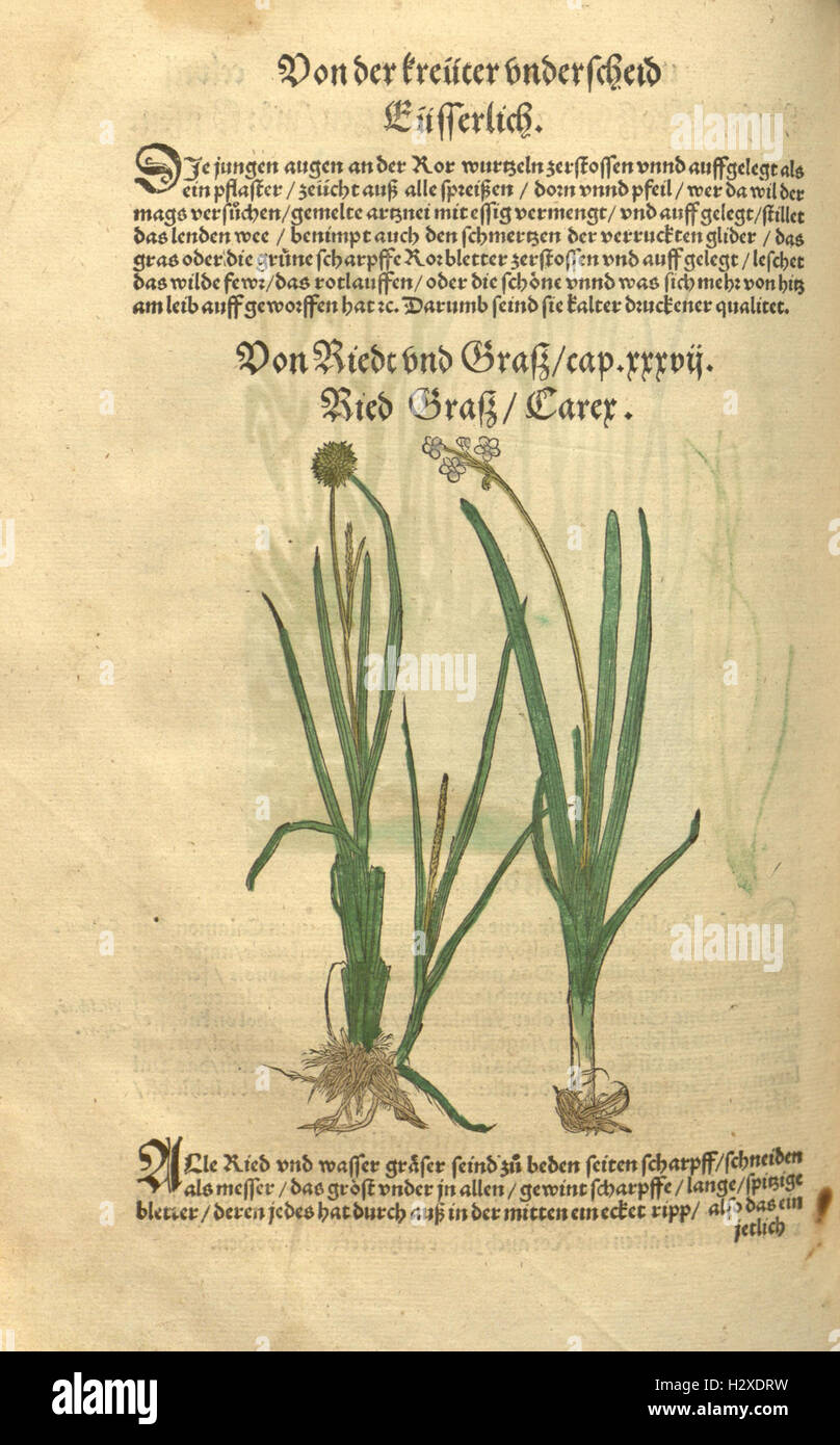 This book describes the uses, effects, and names of herbs that grow in ...