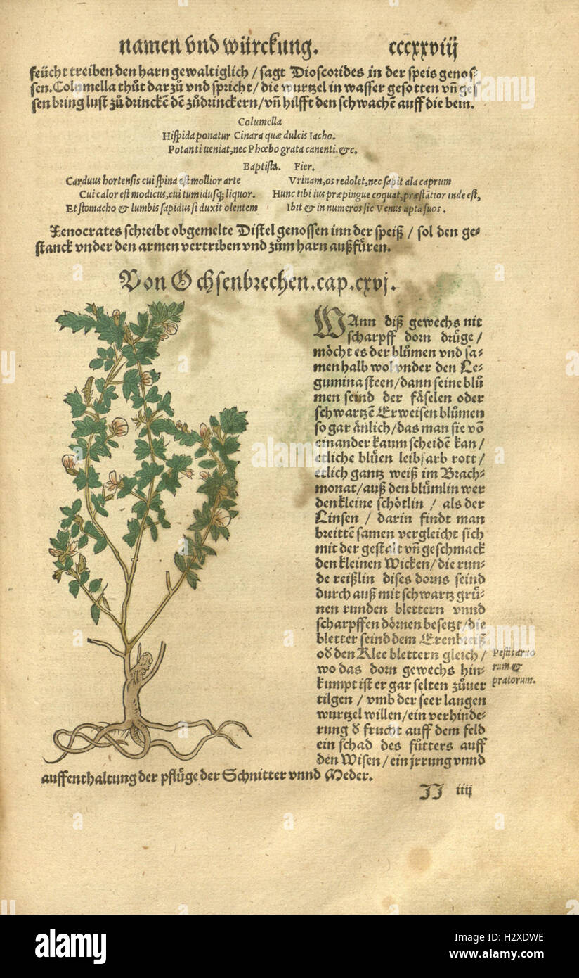 This German work provides an overview of the snakes in Germany ...