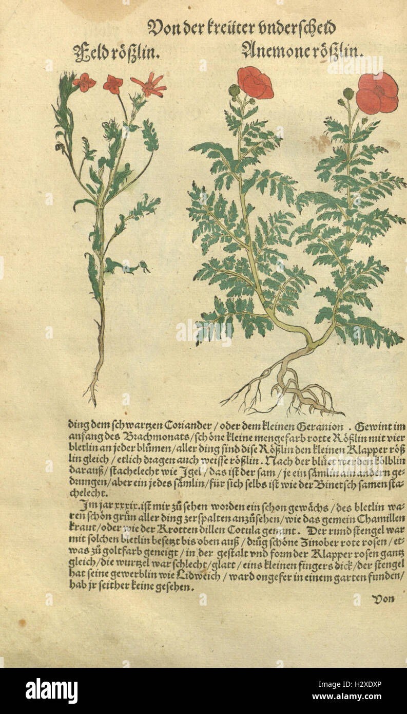 This German botanical book details the properties, effects, and names ...