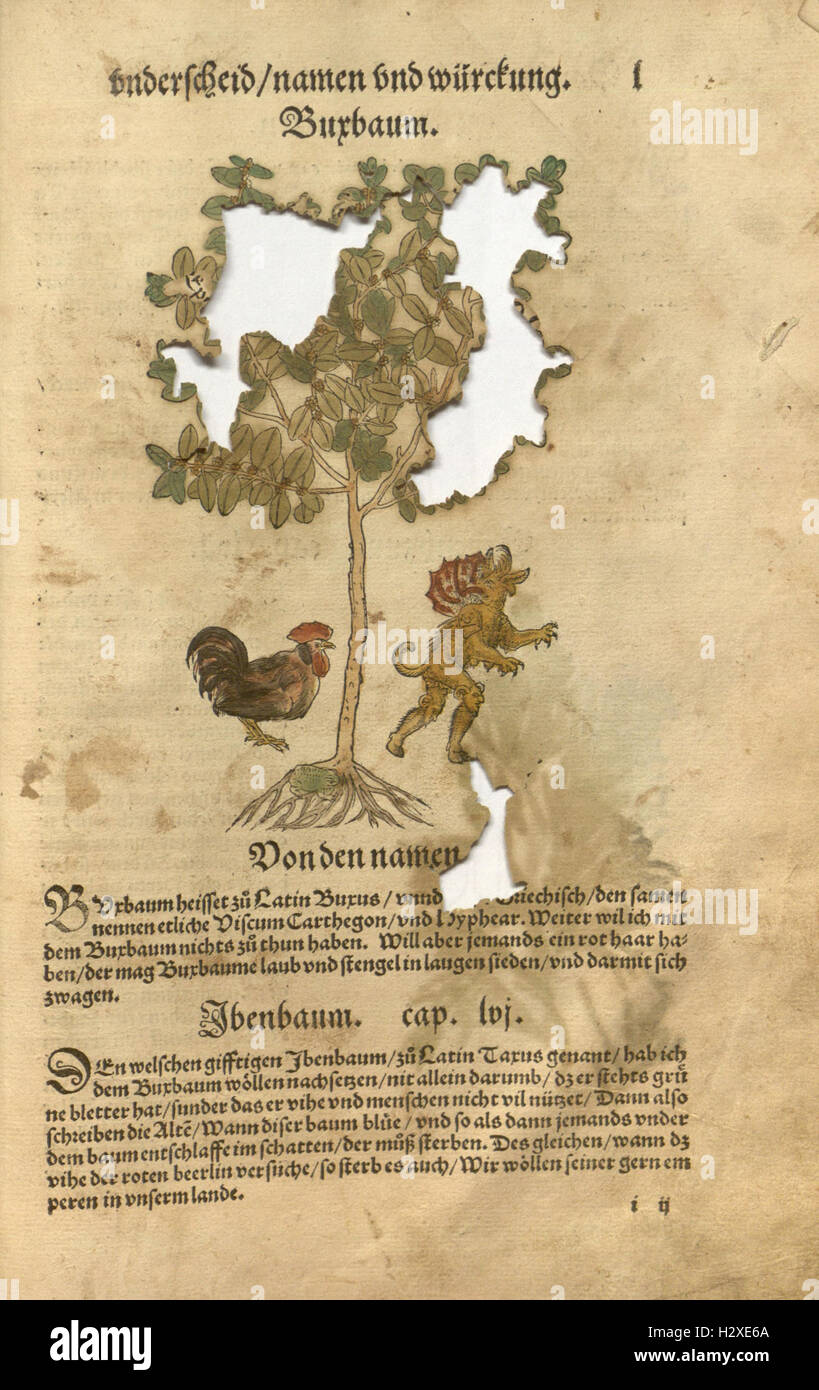 This German botanical work discusses the various herbs that grow in ...