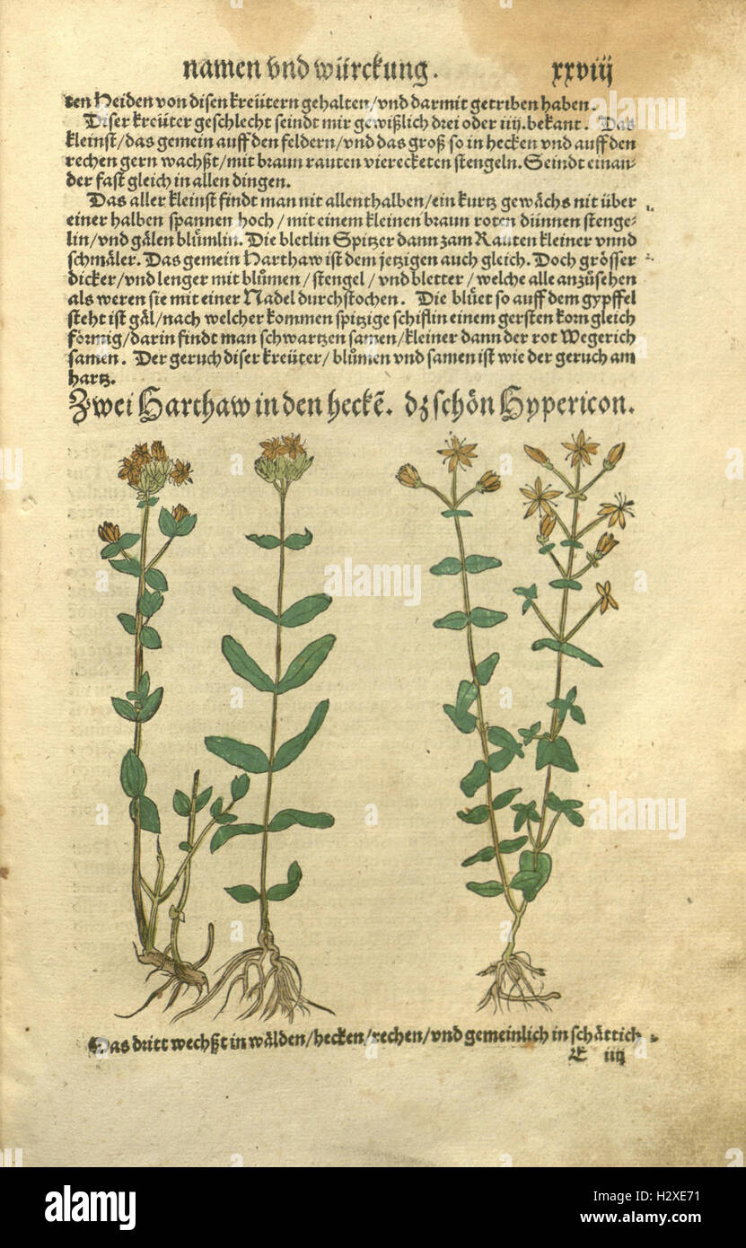 Kreüter Buch, darin Underscheid, Würckung und Namen der Kreüter so in ...