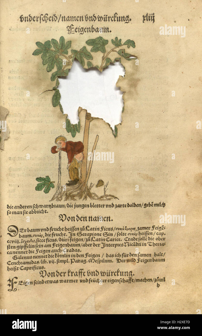 This work details the identification, effects, and names of herbs ...