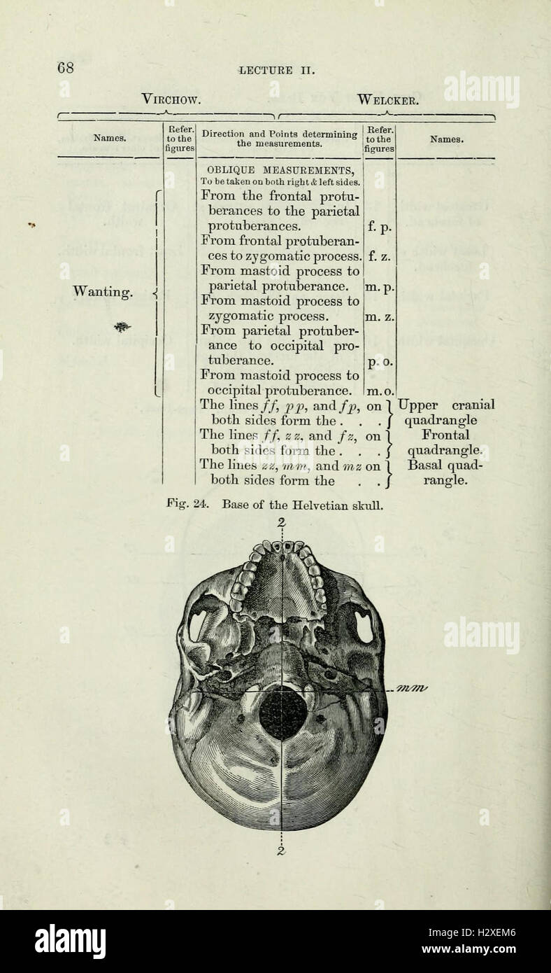 A scientific text examining human biology, evolution, and physiology ...
