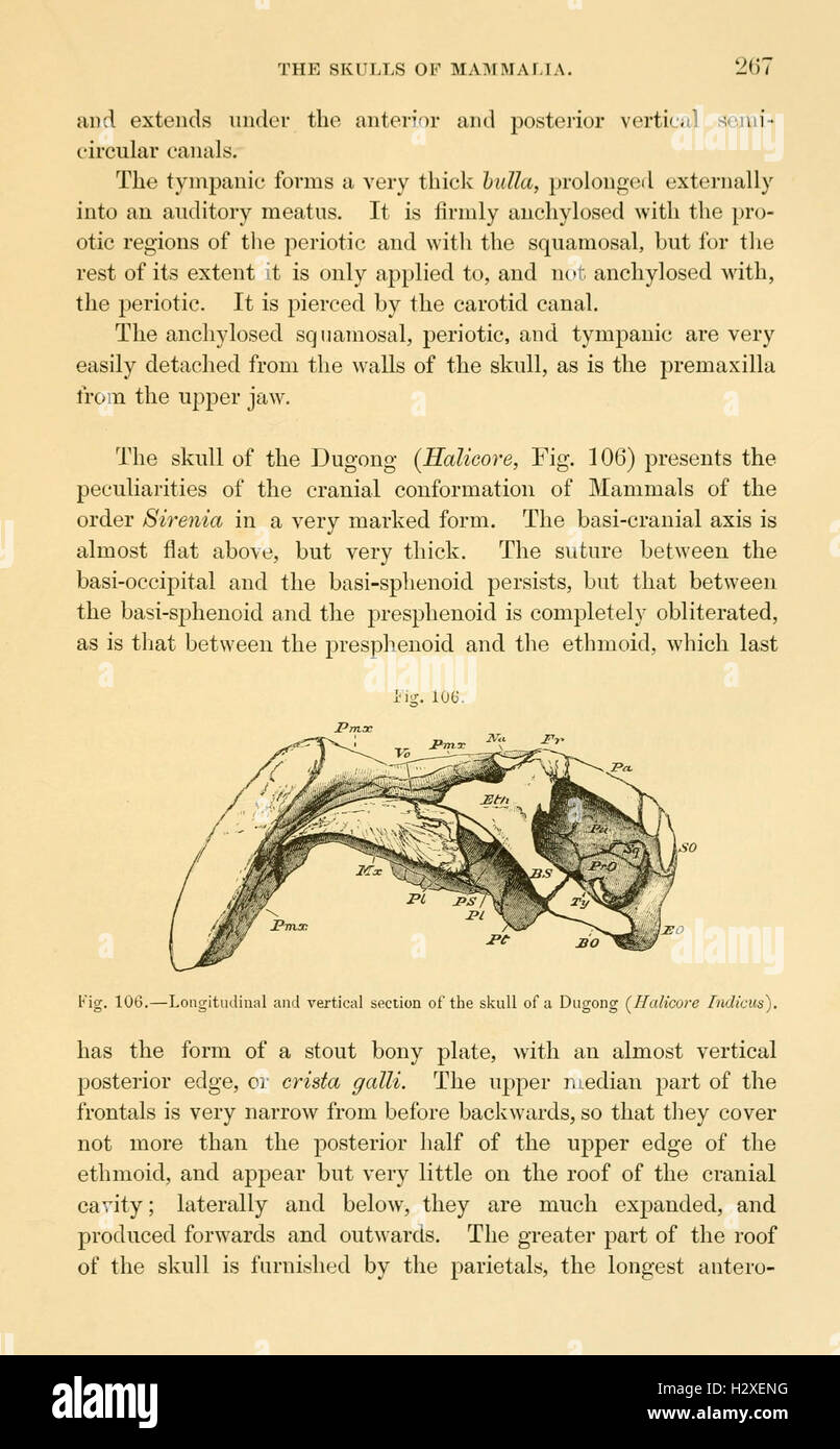A lecture series discussing the basics of comparative anatomy, focusing ...