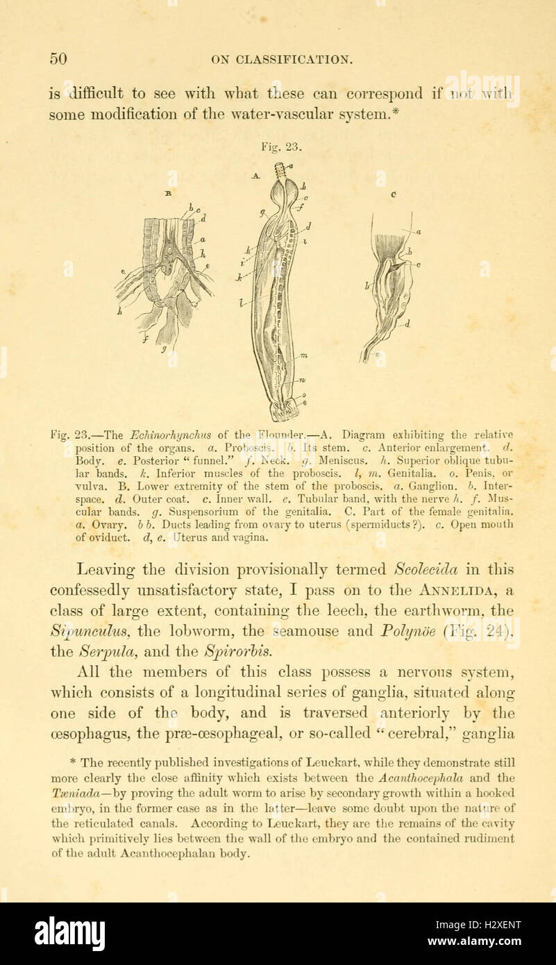 This lecture series on comparative anatomy explores the anatomical ...