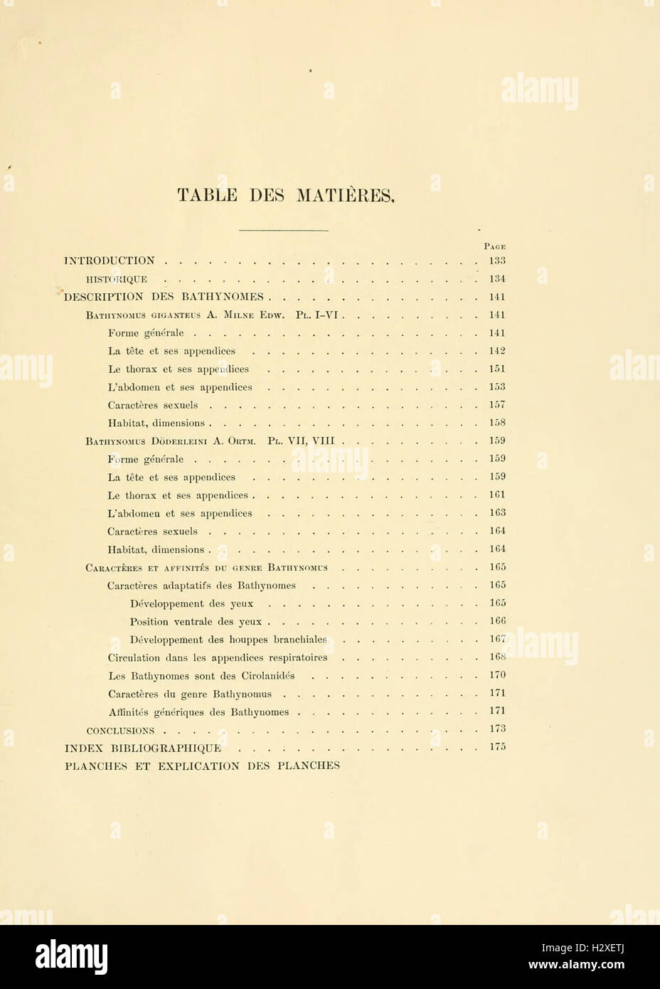 This work discusses the bathynomes, a group of deep-sea crustaceans ...