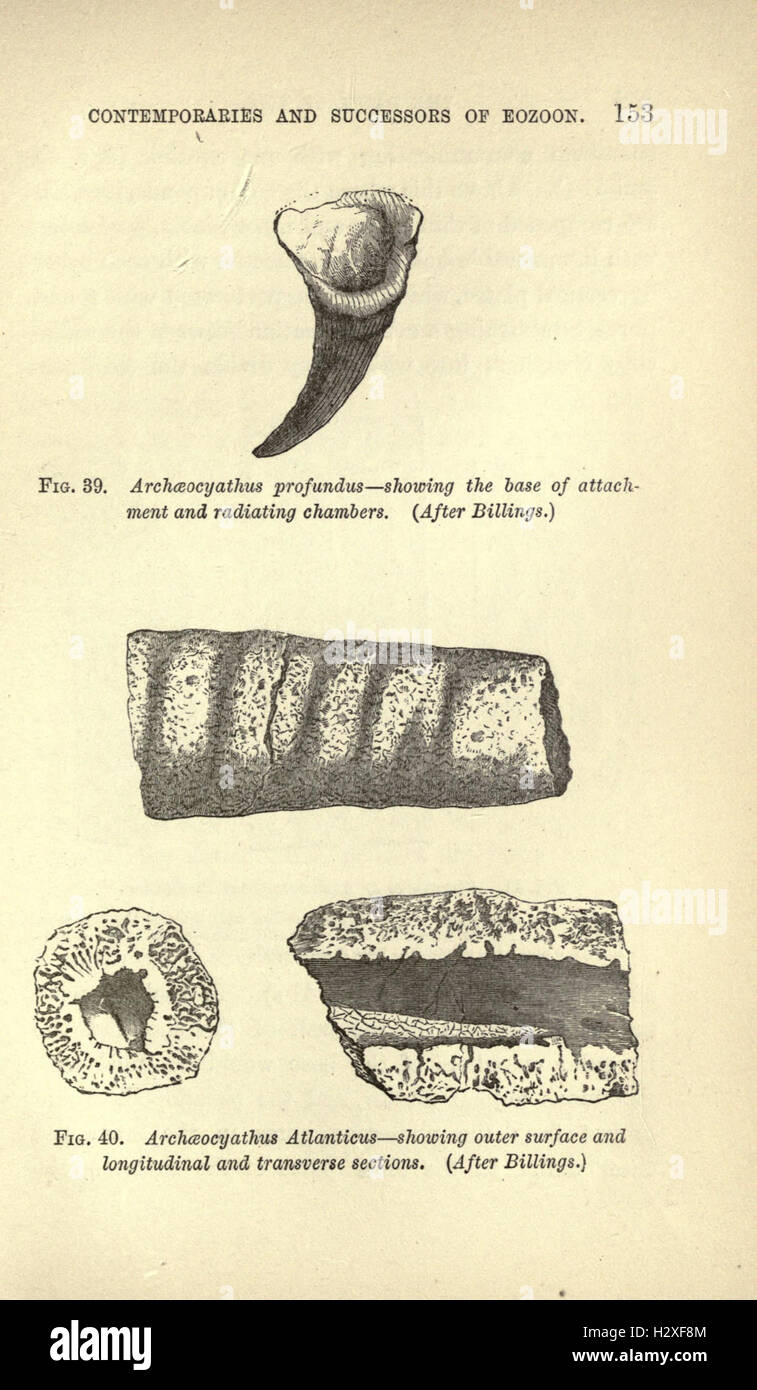 This work explores the origins of life on Earth, focusing on the early ...