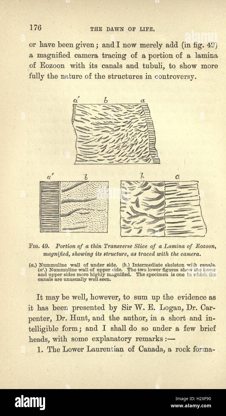 A study exploring the early stages of life on Earth, examining the ...