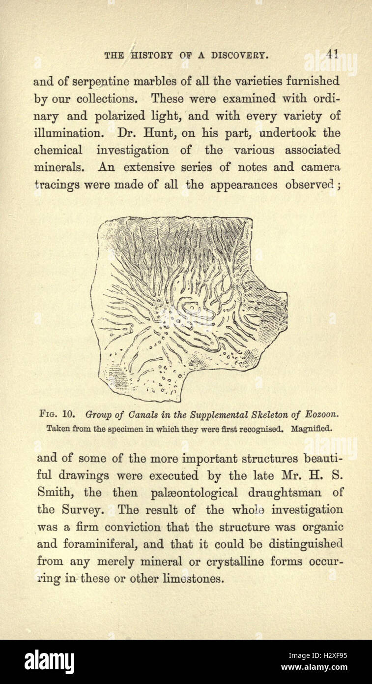 This section provides an overview of the earliest stages of life on ...