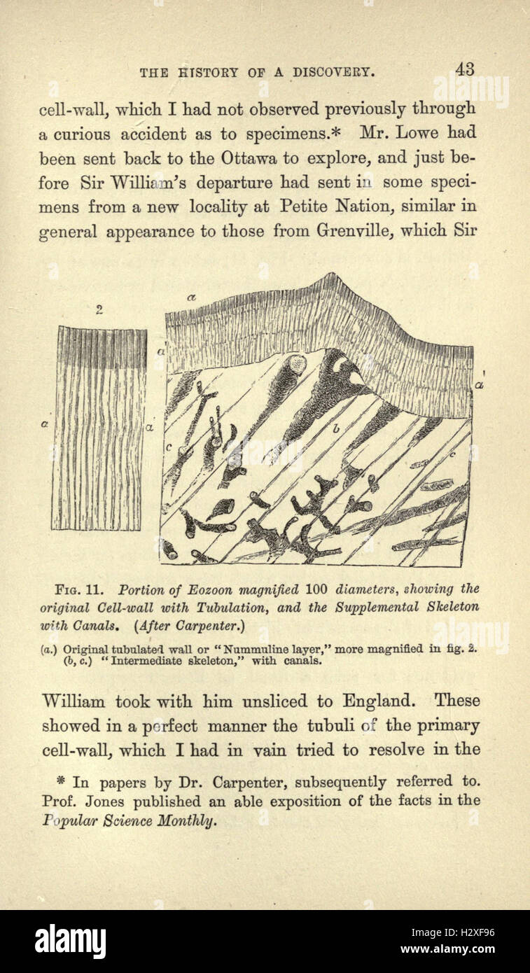 This page from 'Life's Dawn on Earth' discusses the early stages of ...