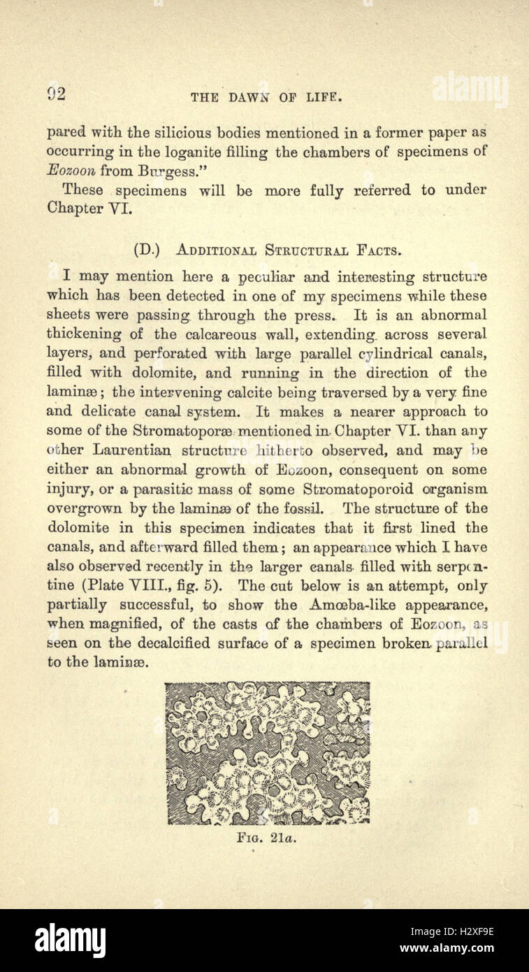 This work examines the early stages of life on Earth, focusing on the ...