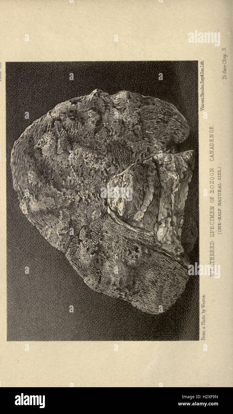 This work explores the origins of life on Earth, examining early ...