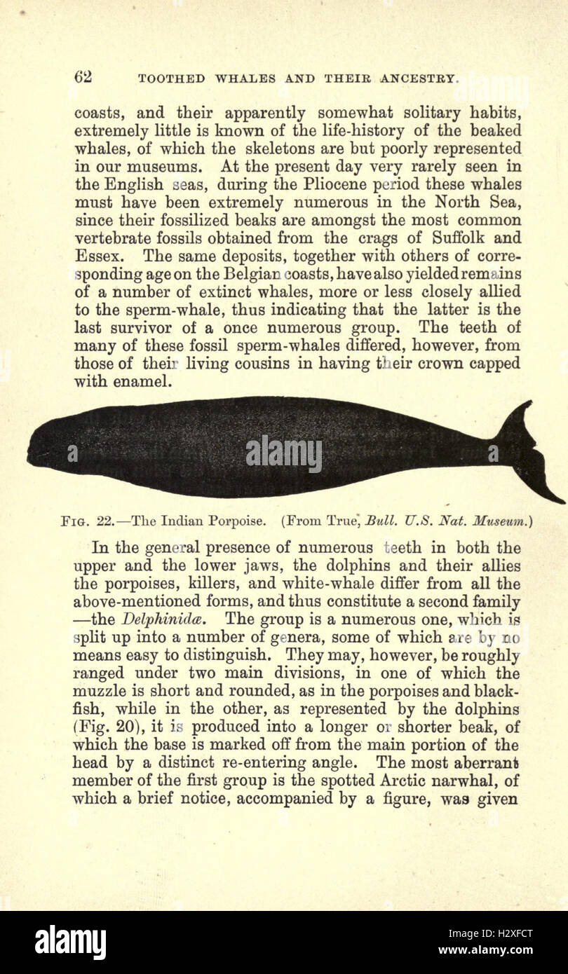 'Life and Rock' explores the geological and biological history of rocks ...