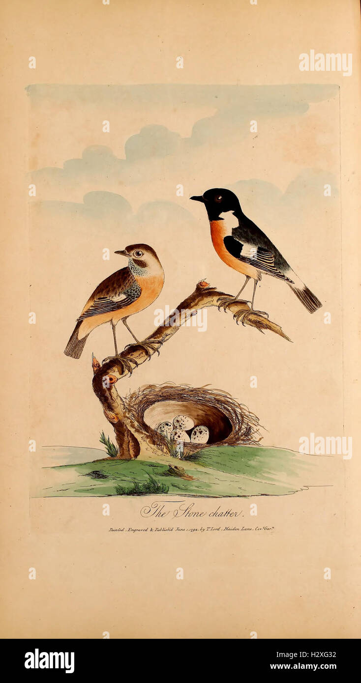 This work outlines the history and classification of British bird ...