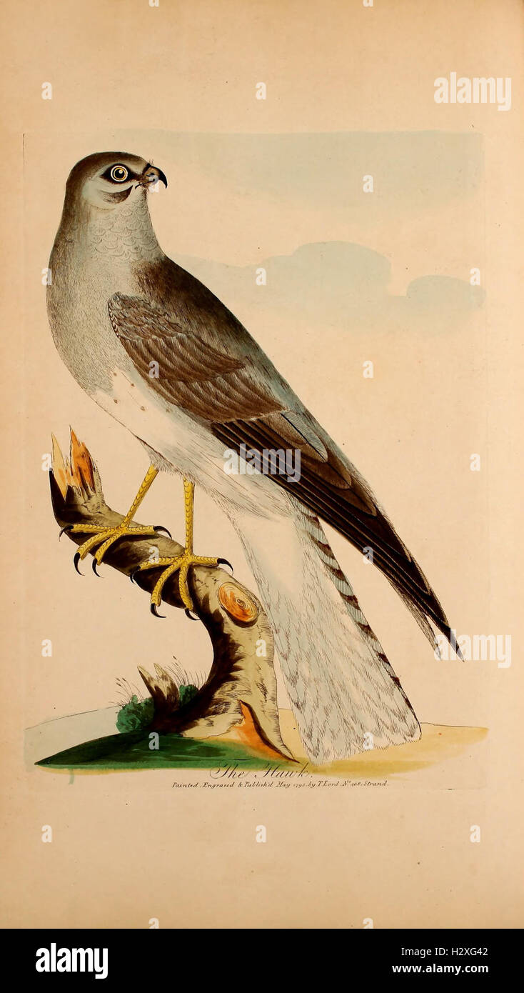This work presents an extensive study of British birds, focusing on ...
