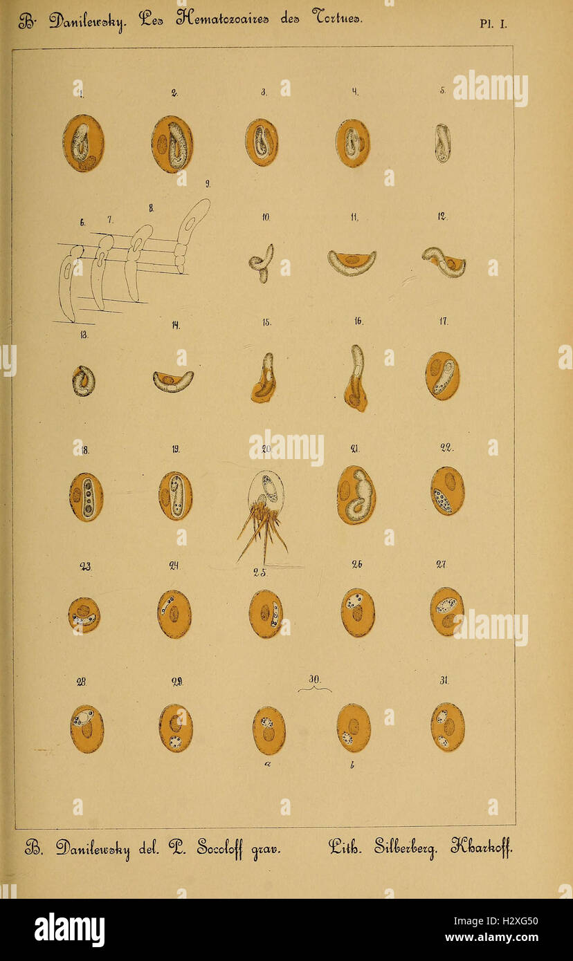A biological archives collection documenting various biological studies ...