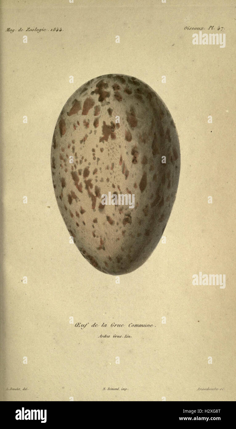 This zoological magazine covers various aspects of animal life, with ...