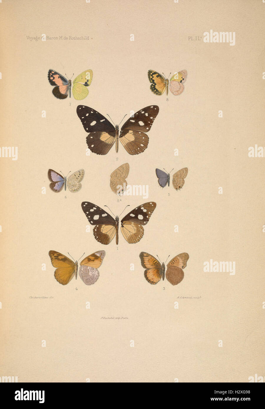 This work provides a detailed illustration and description of ...