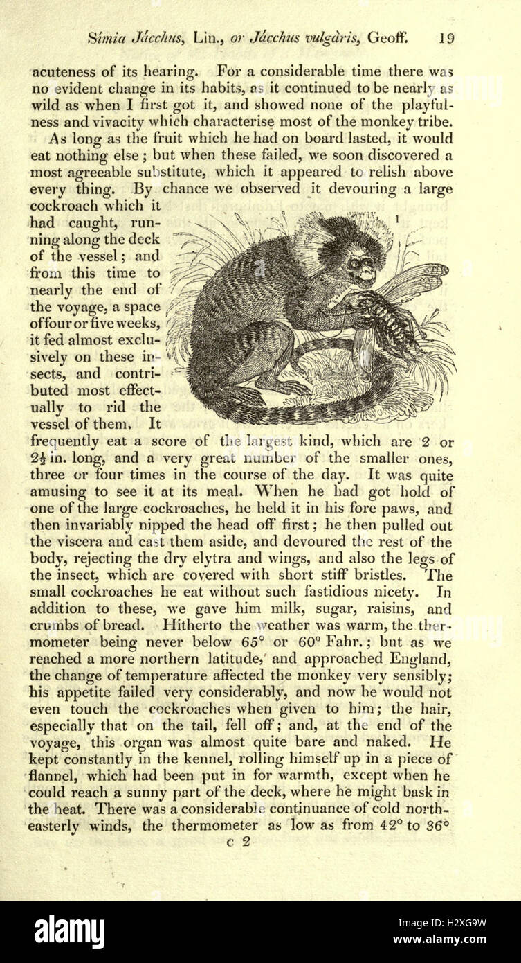 A periodical journal containing articles on natural history, zoology ...