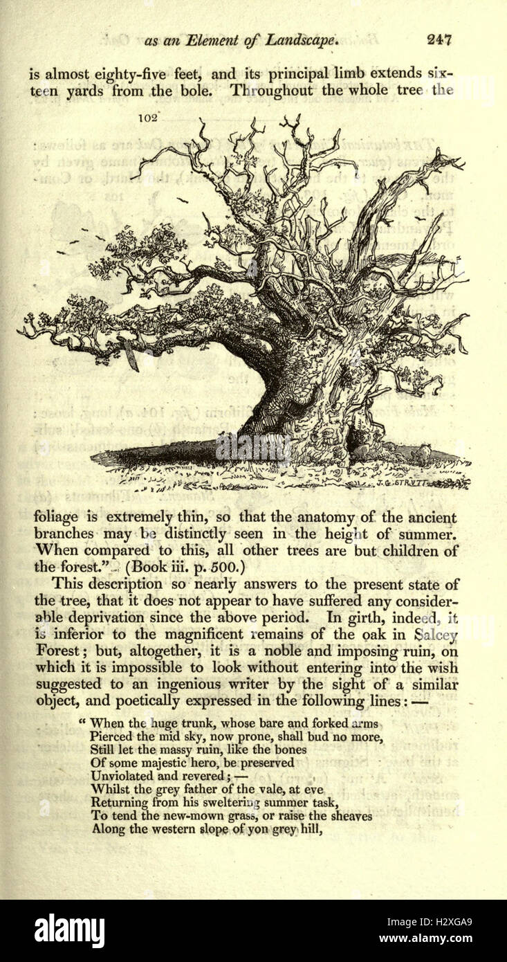 This journal covers a broad range of natural history topics, including ...