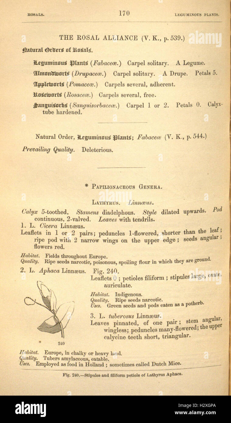 This text explores the intersection of medicine and botany, focusing on ...