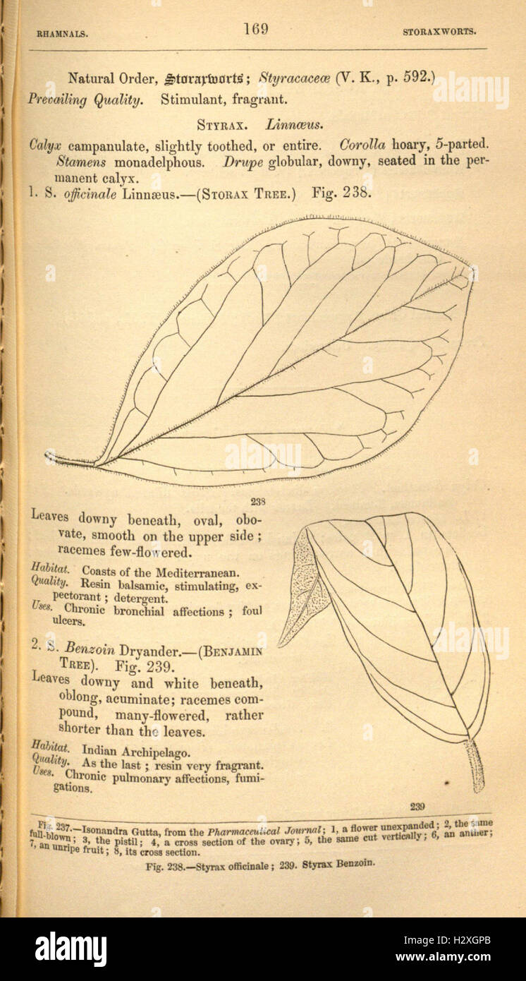 A study on the medical and economic uses of plants, focusing on their ...