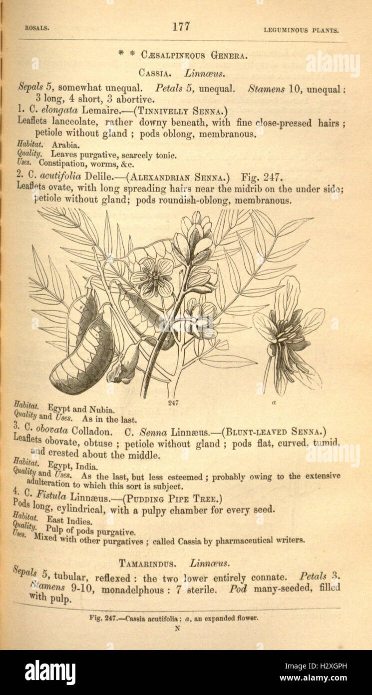 This work provides an in-depth look at the medical and economic uses of ...