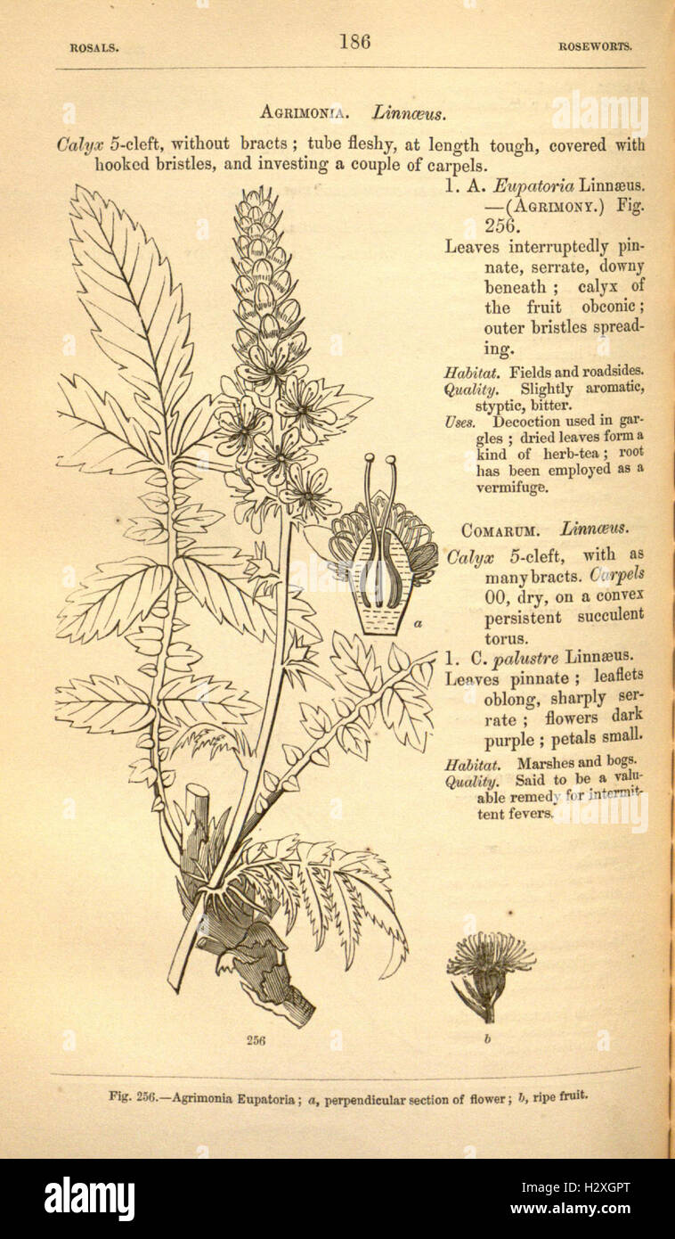This text explores both the medical and economic uses of plants ...