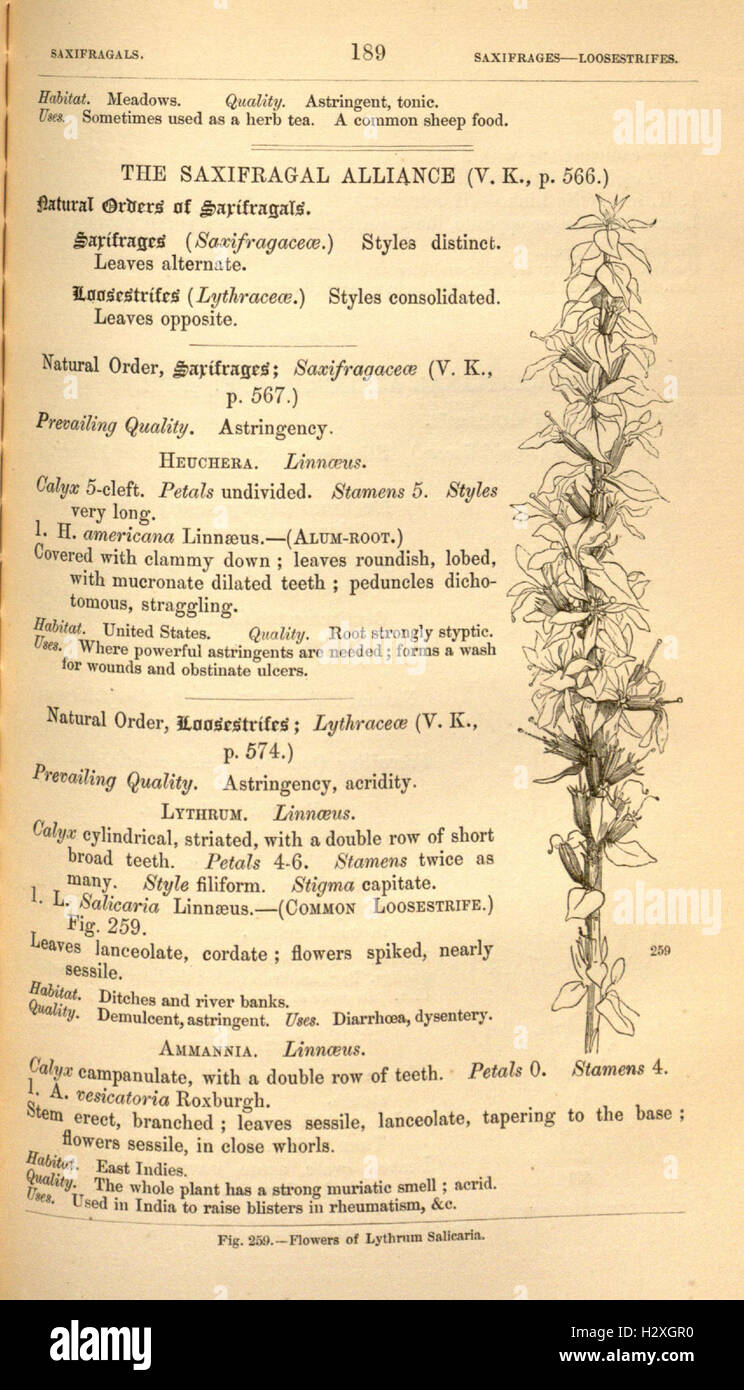 This text explores the medicinal and economic uses of plants, with a ...