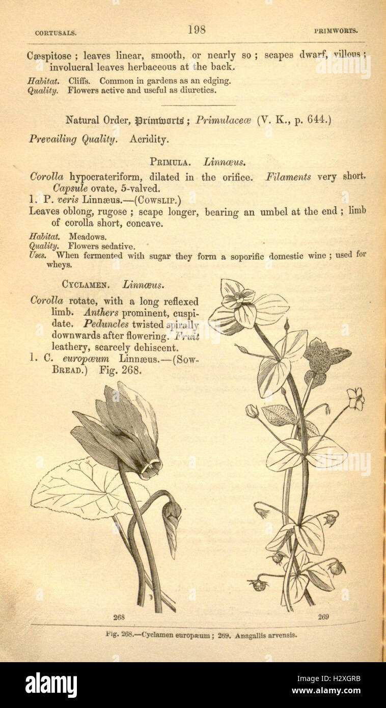 This text covers the medicinal and economic uses of plants, with a ...