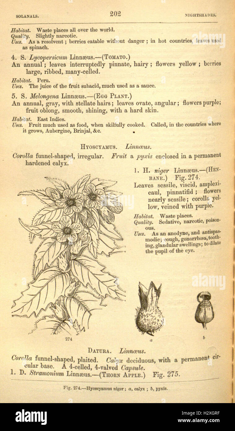 This work explores the medicinal and economic uses of plants, detailing ...